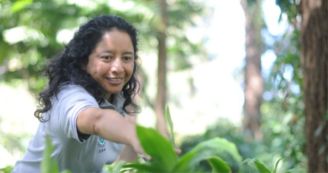 International Fellowships Program Alumni Tracking Study | IIE
