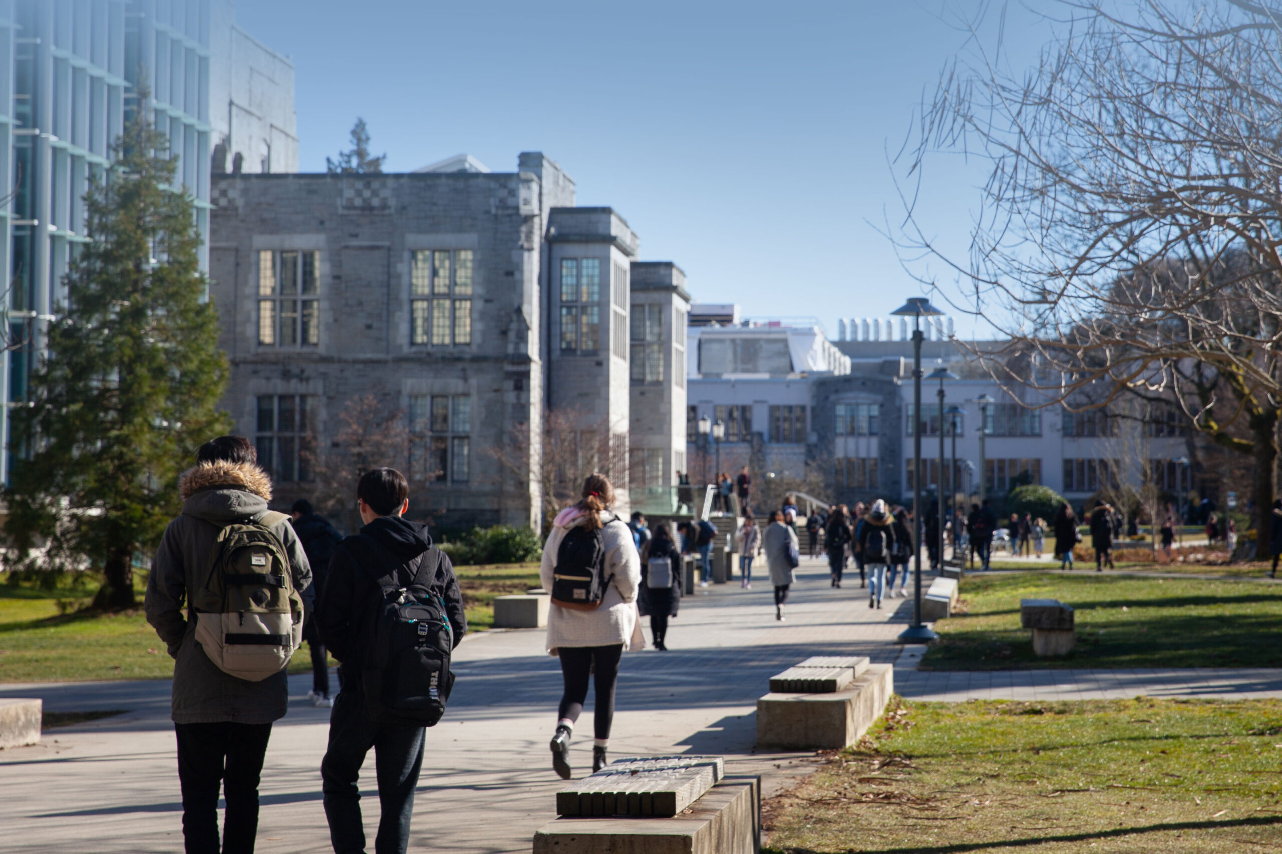 A Brief History of Senior International Officers on U.S. Higher Education Campuses | IIE