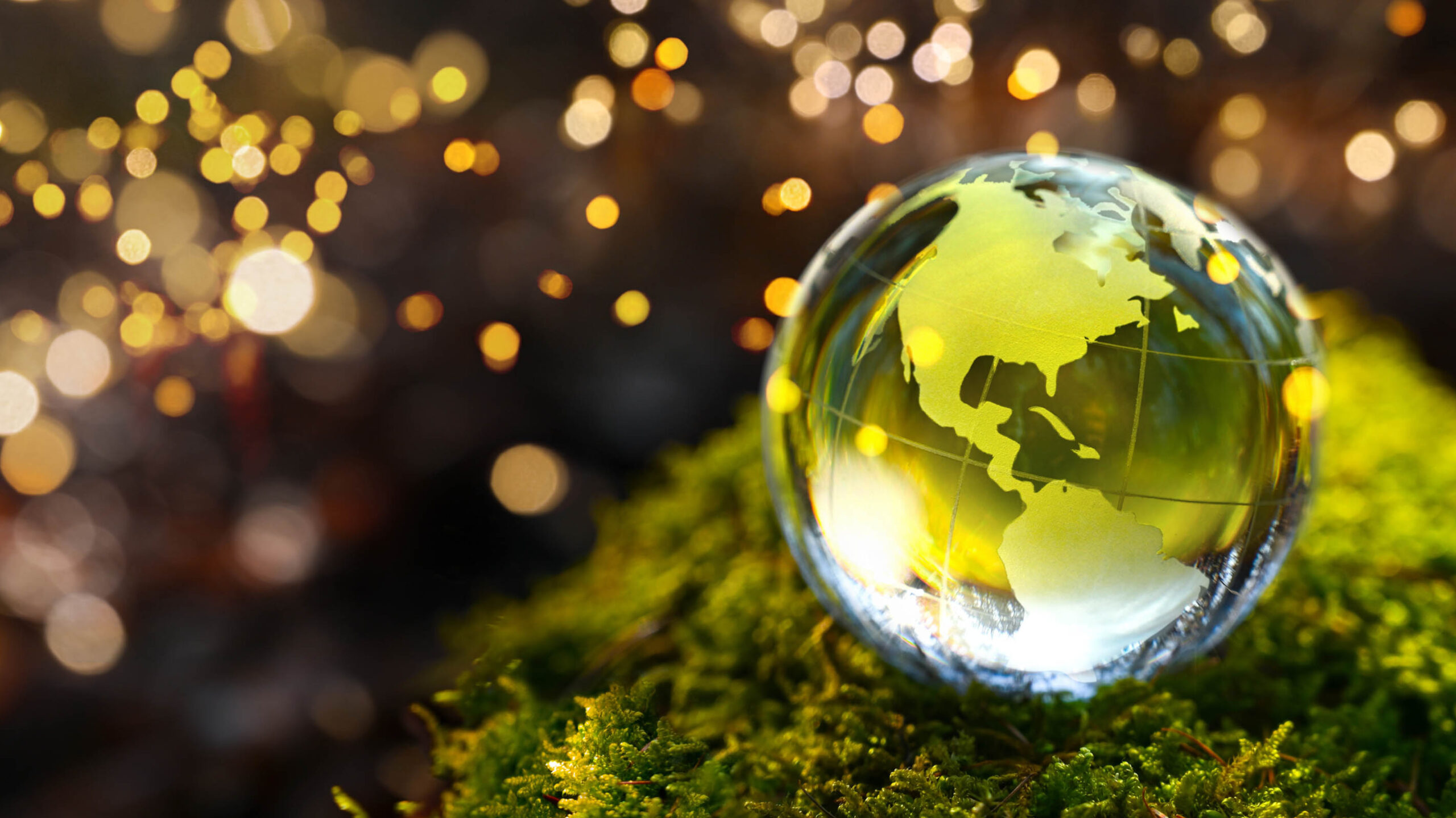 Offering a World of Good Wishes | IIE